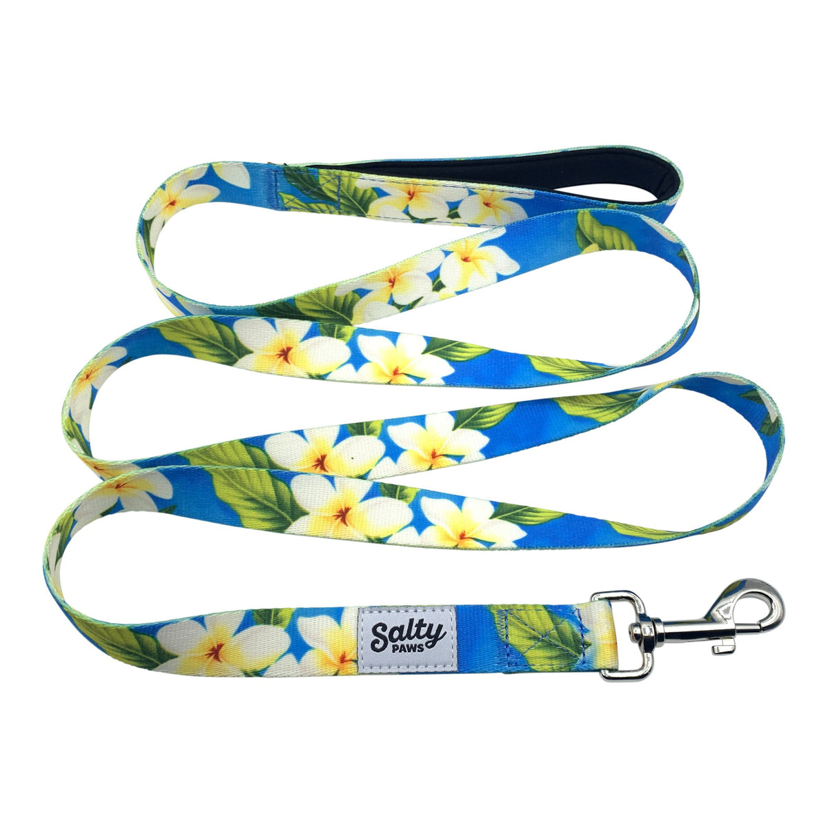 Salty Paws Leash | Island Water Sports